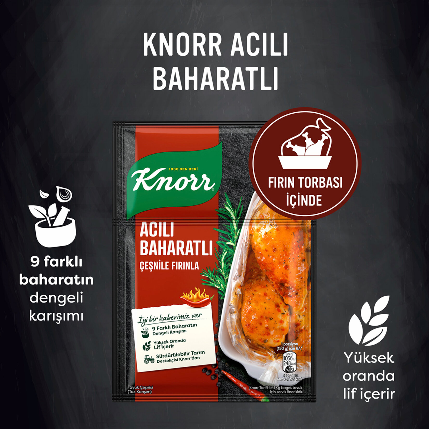 CMarket | Knorr Baked Chicken Seasoning Hot Spicy 31 G